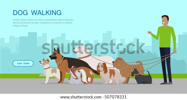 Dog Walking Banner Man Walks Golden Stock Vector (Royalty Free ...