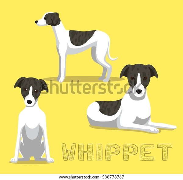 Dog Whippet Cartoon Vector Illustration 스톡 벡터(로열티 프리) 538778767