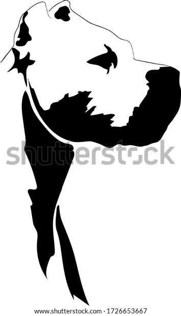 Dogo Argentino Vector Portrait Illustration Stock Vector (Royalty Free ...