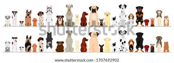 Dogs Big Border Set Front Back Stock Vector (Royalty Free) 1707692902 ...