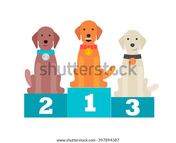 Dogs Competition Winners Podium Vector Illustration Stock Vector ...