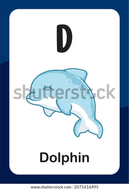 Dolphin Animals Alphabet Flash Card Education Stock Vector (Royalty ...