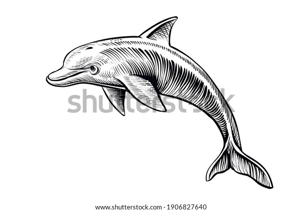 Dolphin Drawing Vector Sketch Hand Drawn: Vector có sẵn (miễn phí bản ...