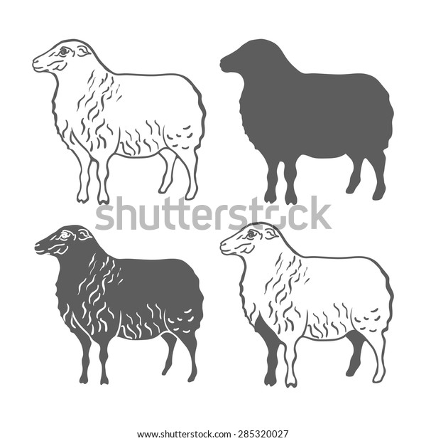 Domestic Animal Sheep Design Elements Vector Stock Vector (Royalty Free ...
