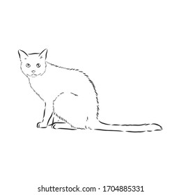 100,649 Cat line drawing Images, Stock Photos & Vectors | Shutterstock