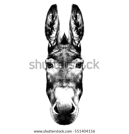 Donkey Face Drawing | Free download on ClipArtMag
