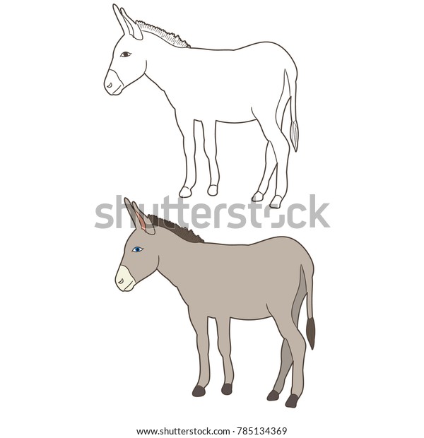 Donkey Mule Outline Stock Vector (Royalty Free) 785134369 | Shutterstock