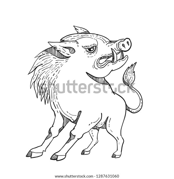 Doodle Art Illustration Razorback Wild Pig Stock Vector (Royalty Free ...