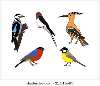 Doodle Bird Set Clip Art Isolated Stock Vector (Royalty Free ...