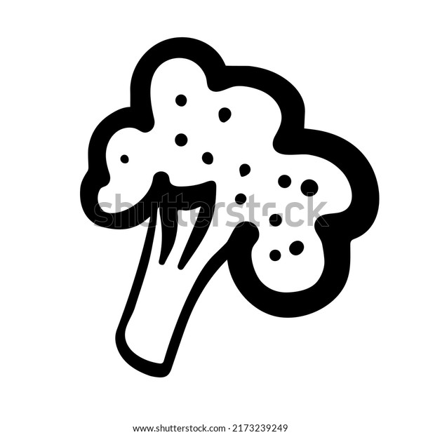 Doodle Broccoli Outline Broccoli Isolated On Stock Vector (Royalty Free ...