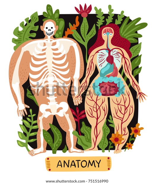 Doodle Human Anatomy Set Funny Male: vector de stock (libre de regalías ...