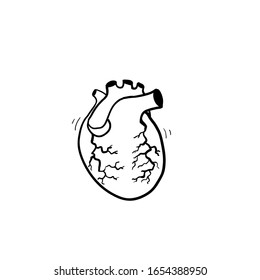155 Anatomically correct heart Images, Stock Photos & Vectors ...