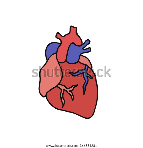 Doodle Icon Human Heart Vector Illustration Stock Vector (Royalty Free ...