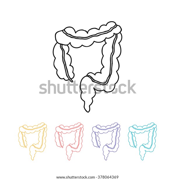 Doodle Icon Human Intestines Vector Illustration Stock Vector (Royalty ...