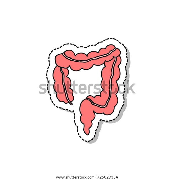 Doodle Icon Sticker Human Intestines Isolated Stock Vector (Royalty ...