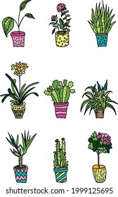 Doodle Set Different Indoor Plants Stock Vector (Royalty Free ...