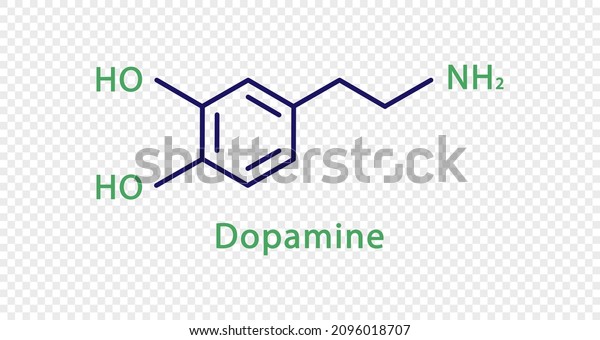Dopamine Chemical Formula Dopamine Structural Chemical Stock Vector ...