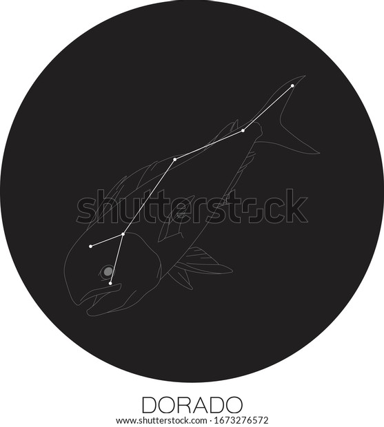 Dorado Constellation Vector On Black Background Stock Vector (Royalty ...