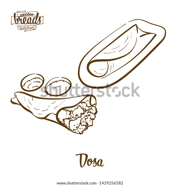 Dosa Bread Vector Drawing Food Sketch Stok Vektör (Telifsiz) 1429256582 ...