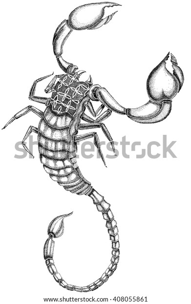 Dot Scorpion Isolated On White Vector Stock Vector (Royalty Free ...