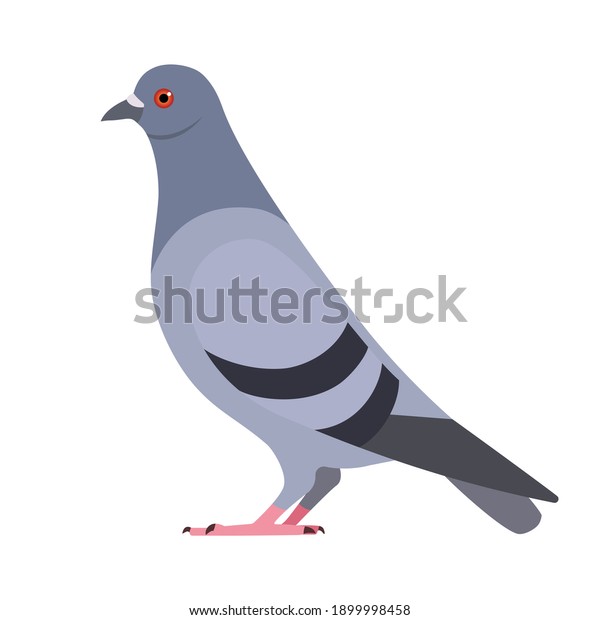 Dove Bird Symbol Icon Vector Illustration Stock Vector (Royalty Free ...