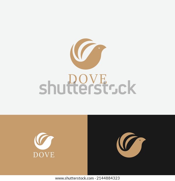 Dove Modern Creative Logo Design Stock Vector (Royalty Free) 2144884323 ...