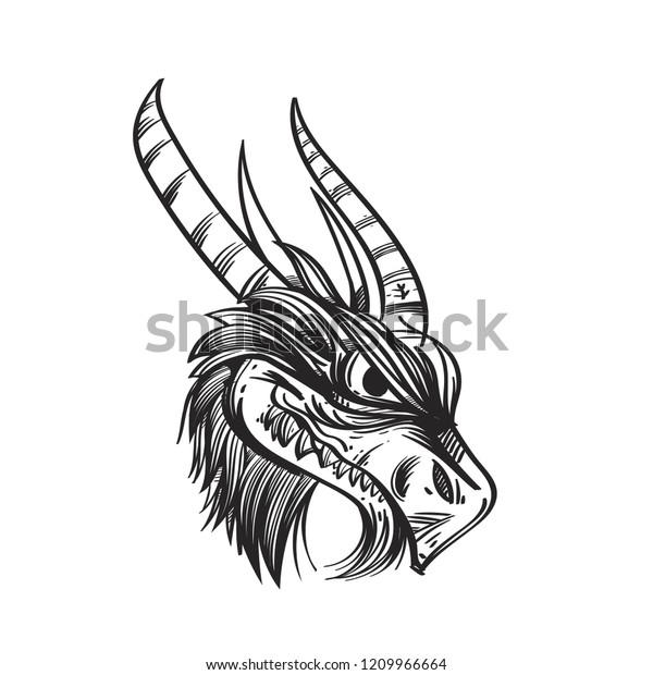 Dragon Head Outline Vector Illustration Isolated Stock Vector (Royalty ...
