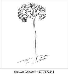 Dragon Treehand Drawn Vector Illustration Doodle Stock Vector (Royalty ...