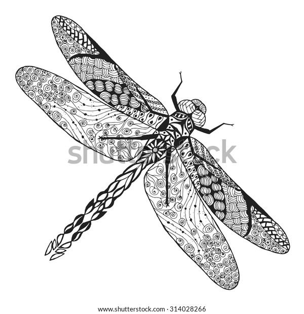 Dragonfly Animals Hand Drawn Doodle Insect Stock Vector (Royalty Free ...