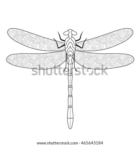 Dragonfly Doodle Sketch Coloringdragonfly Hand Drawing Stock Vector ...
