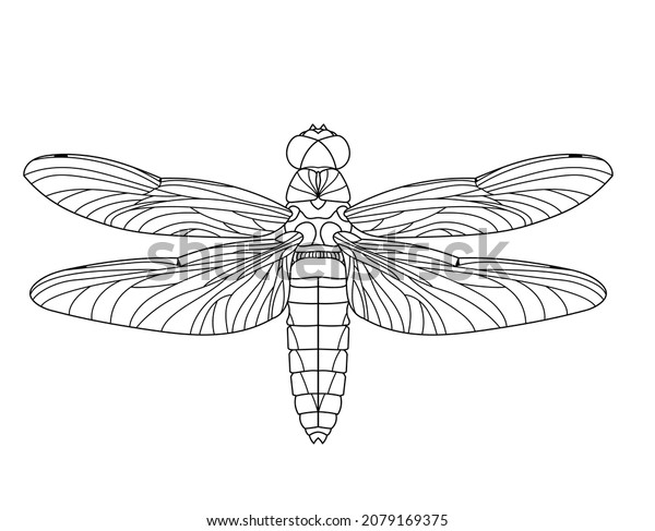 Dragonfly Outline Vector Illustration Coloring Book Stock Vector ...