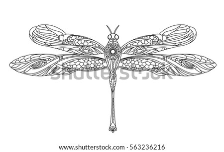 Dragonfly Doodle Black White Drawing Coloring Vector Illustration Stock ...