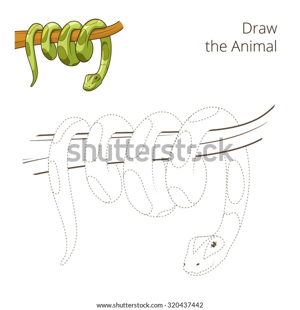 Draw Animal Boa Snake Educational Game Stock Vector (Royalty Free ...