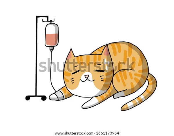 Draw Vector Illustration Sick Cat Isolated Stock Vector (Royalty Free ...
