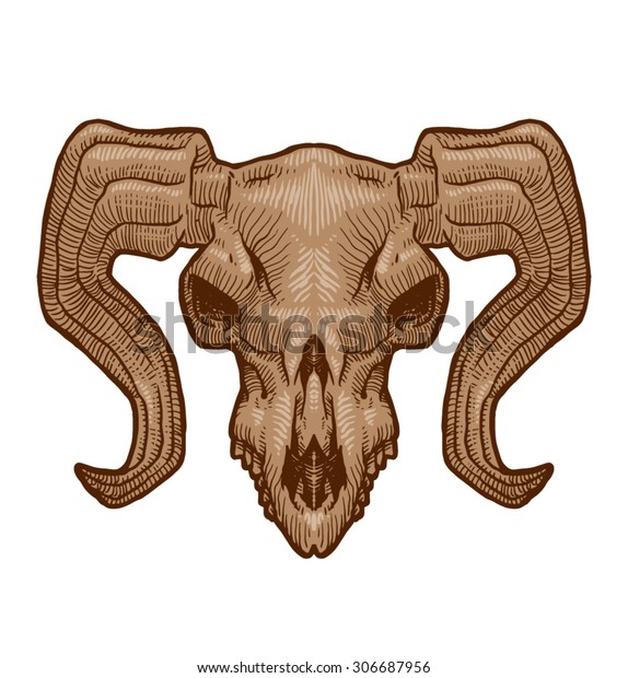 Drawing Animal Skull Sheep Vector Stock Vector (Royalty Free) 306687956 ...