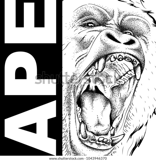 Drawing of a Ape's head. Leader of a pack of gorillas. Aggressive ...