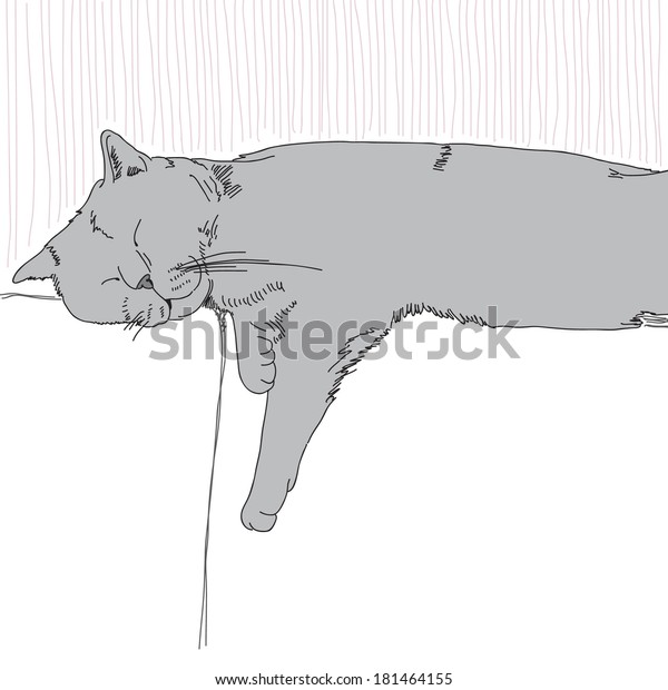 Drawing British Shorthair Cat Vector Stock Vector (Royalty Free) 181464155