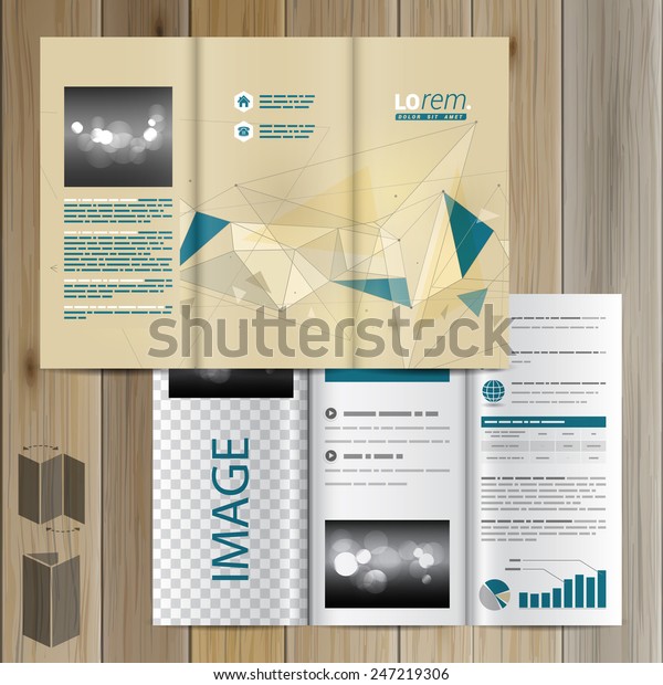 Drawing Brochure Template Design Figures Schemes: เวกเตอร์สต็อก (ปลอด ...