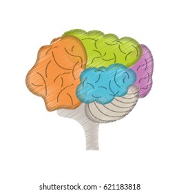 Drawing Colo Brain Idea Innovation Stock Vector (Royalty Free ...