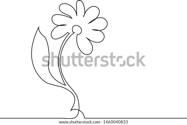 Drawing Continuous Line Daisy Flower Symbol Stock Vector (Royalty Free ...