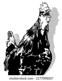 Drawing Crowing Rooster Black Illustration Isolated Stock Vector ...