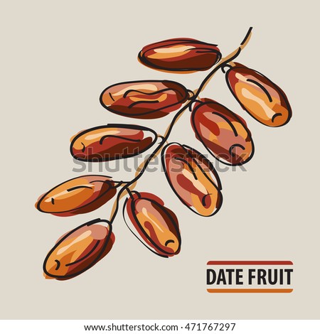 Drawing Date Fruit Twig Islamic Food Stock Vector (Royalty Free ...