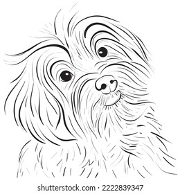 Drawing Dog Line Art Vector Format Stock Vector (Royalty Free ...