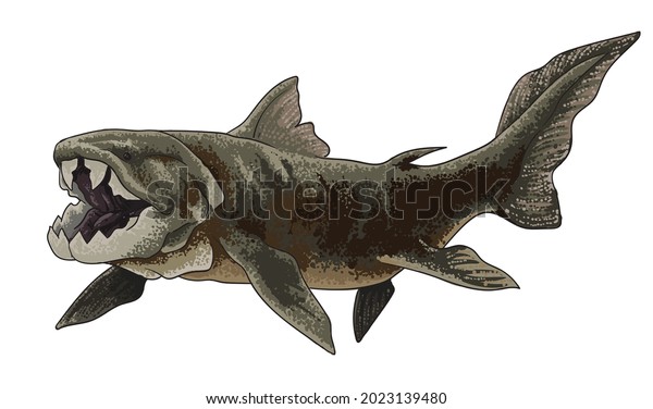 Drawing Dunkleosteus Full Body Artillustration Vector Stock Vector ...