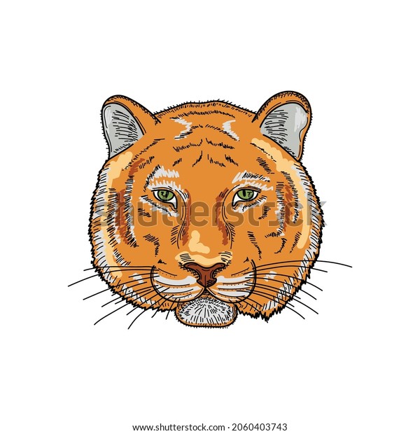 Drawing Engraving Ink Line Art Vector Stock Vector (Royalty Free ...