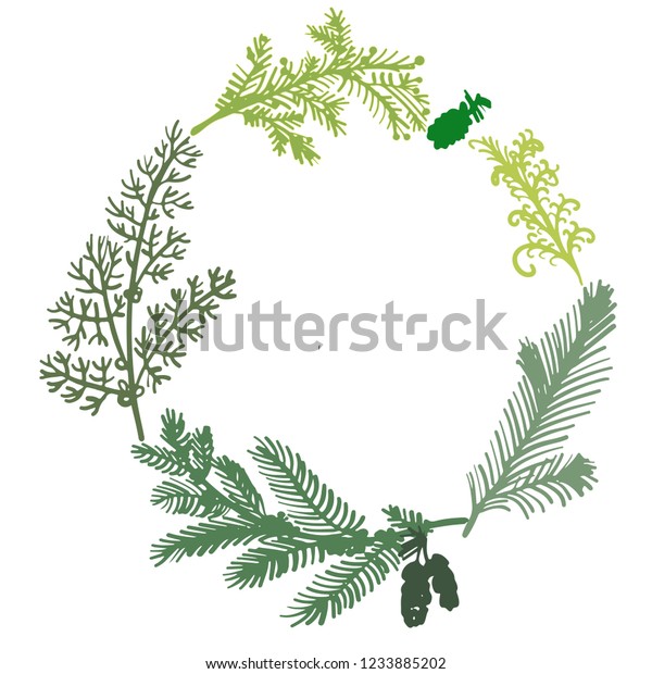 Drawing Frame Wreath Evergreen Tree Branches Stock Vector (Royalty Free ...