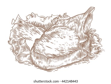 Drawing Fried Pork Cutlet On Green Stock Vector (Royalty Free ...