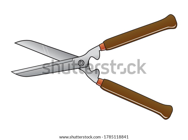 Drawing Garden Shears Illustrationhedge Shears Vector Stock Vector ...