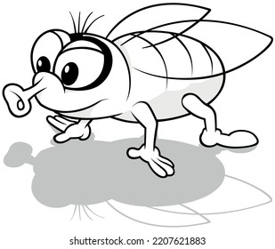 512 Housefly Outline Images, Stock Photos & Vectors | Shutterstock