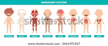 Female Body Structure Drawing | Free download on ClipArtMag